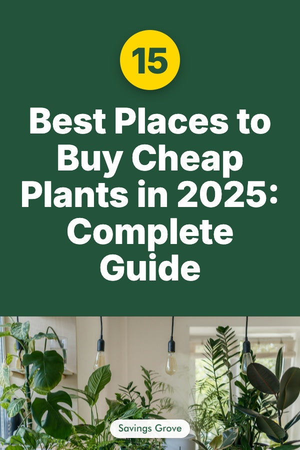 15 Best Places to Buy Cheap Plants in 2025: Complete Guide – Savings Grove